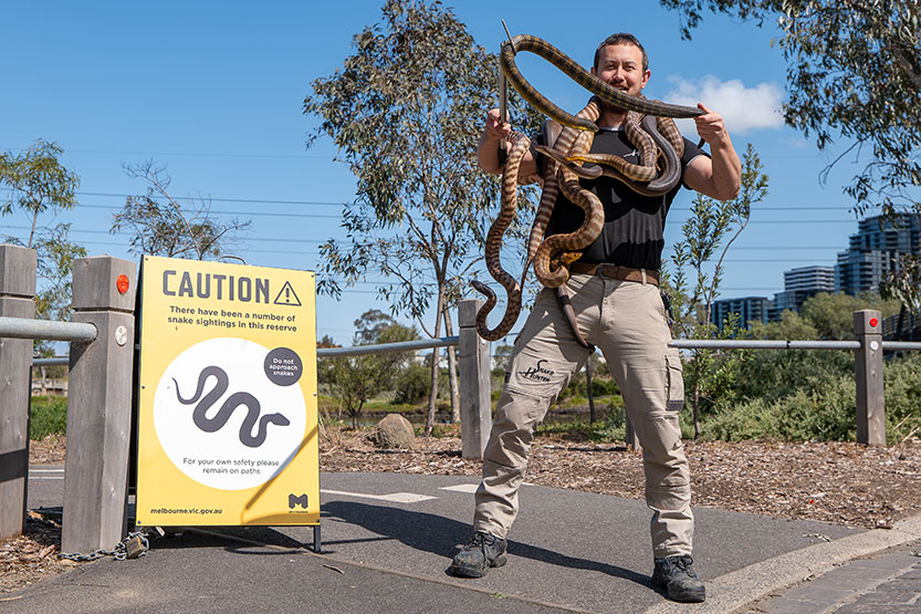 Snakes sighted at Maribyrnong River, residents urged to be vigilant ...