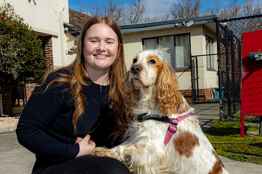 Lost Dogs’ Home shines spotlight on its Animal Behaviour Centre | North ...
